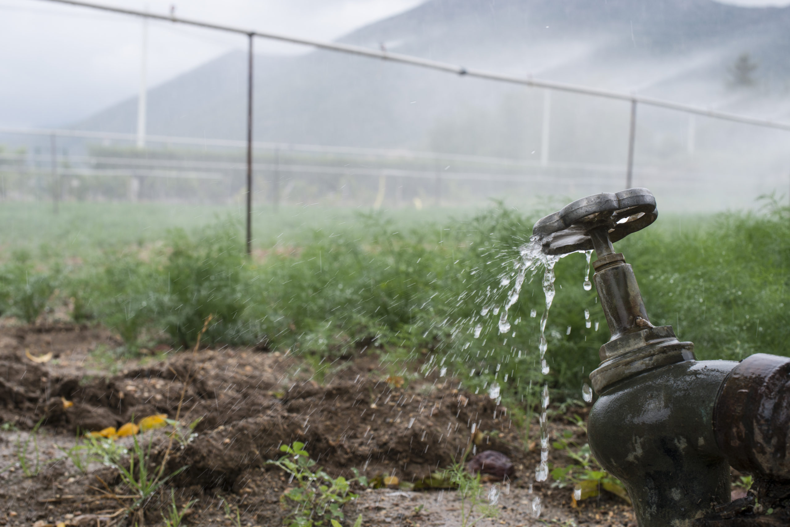 Turning Your Outdoor Faucet Back on for Spring | Mike Wilson Plumbing